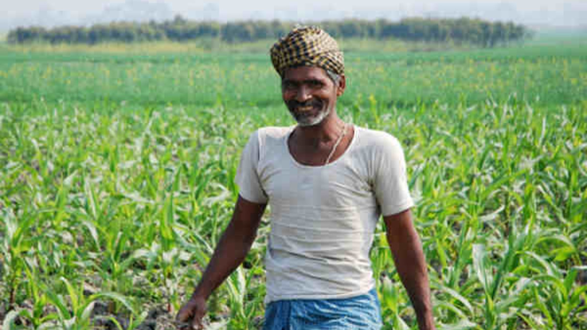 Farmers Schemes : किसानों के लिए ये 5 शानदार सरकारी योजनाएं, जानिए नाम ...